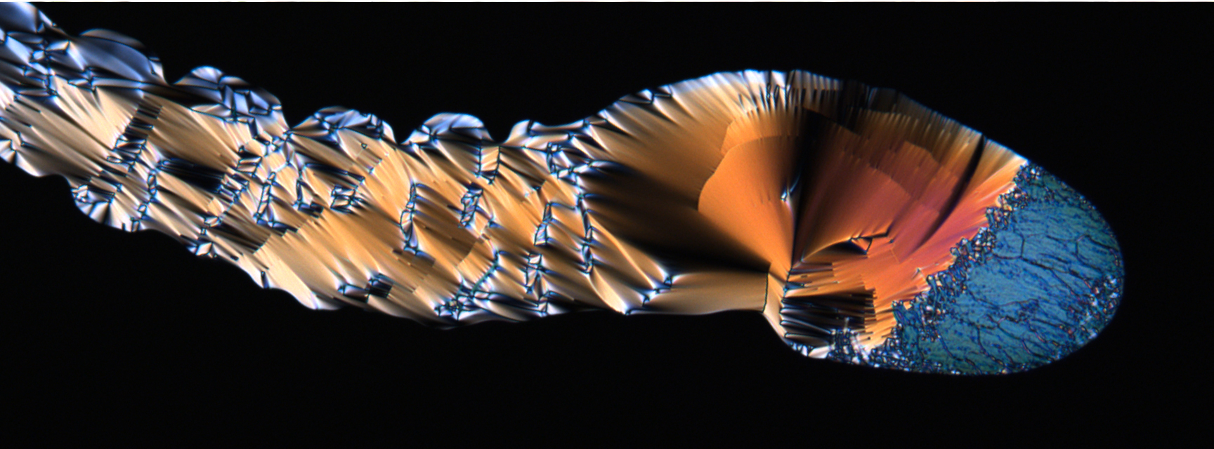 Biophotonics | Oxford Photonics