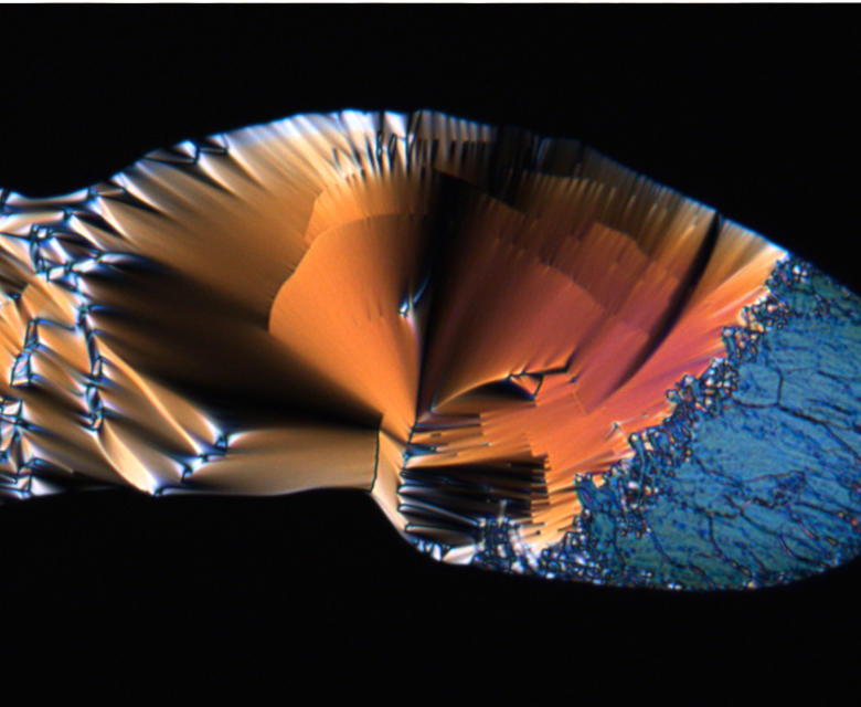 Biophotonics | Oxford Photonics